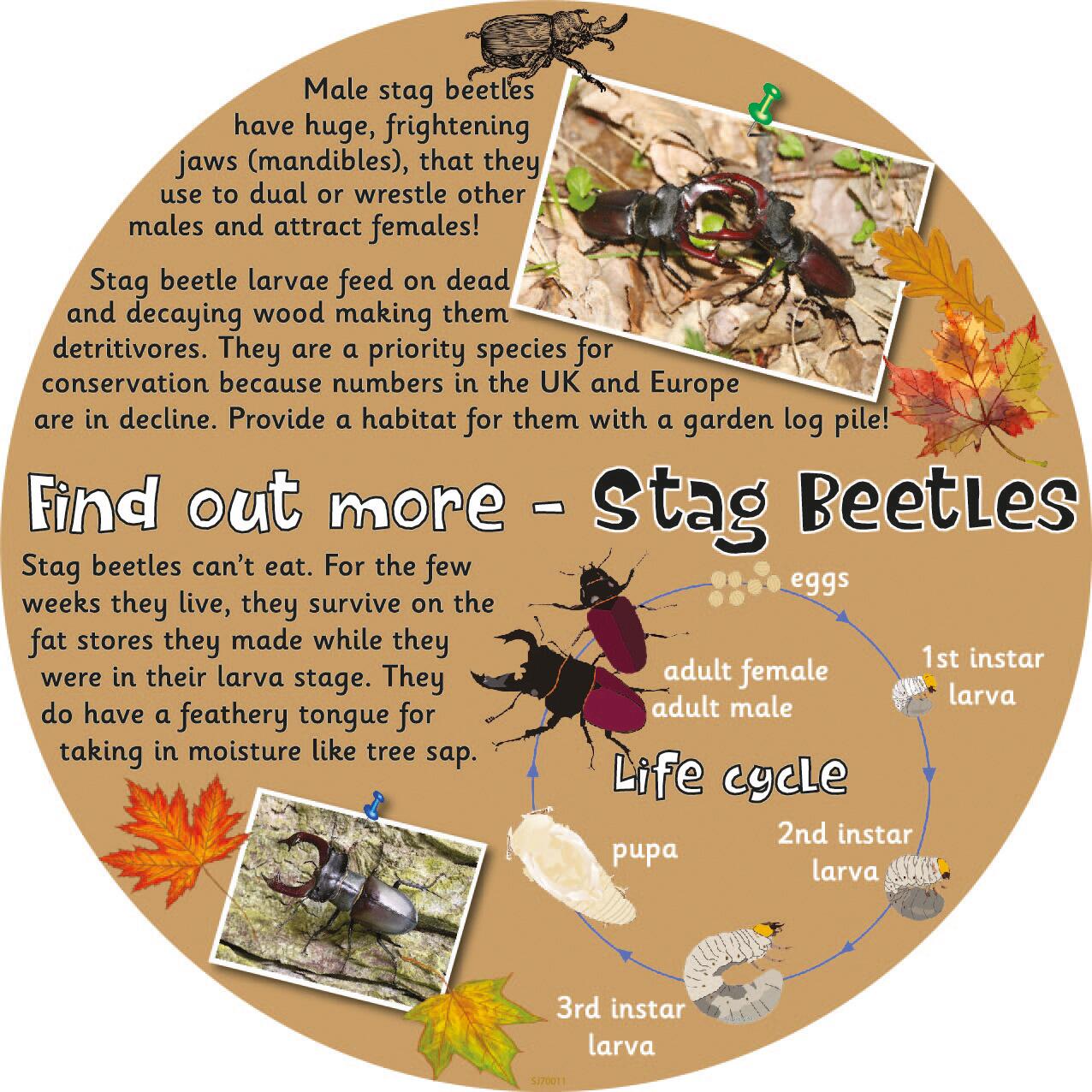Find Out More - Circular Nature Signs