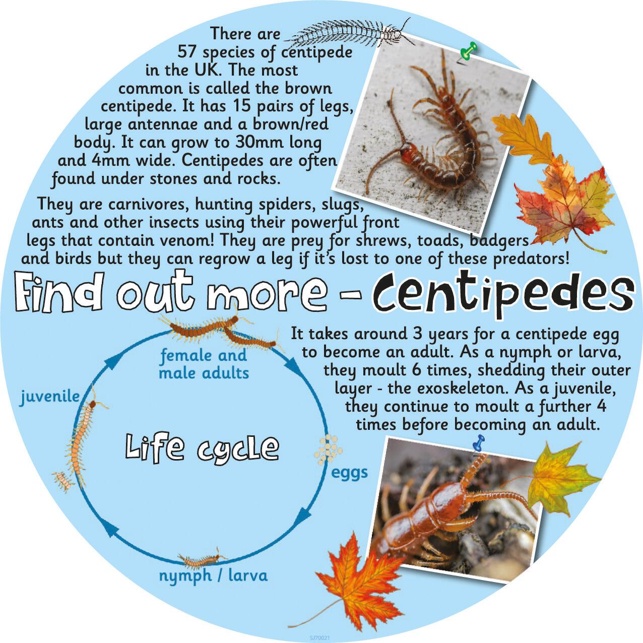 Find Out More - Circular Nature Signs
