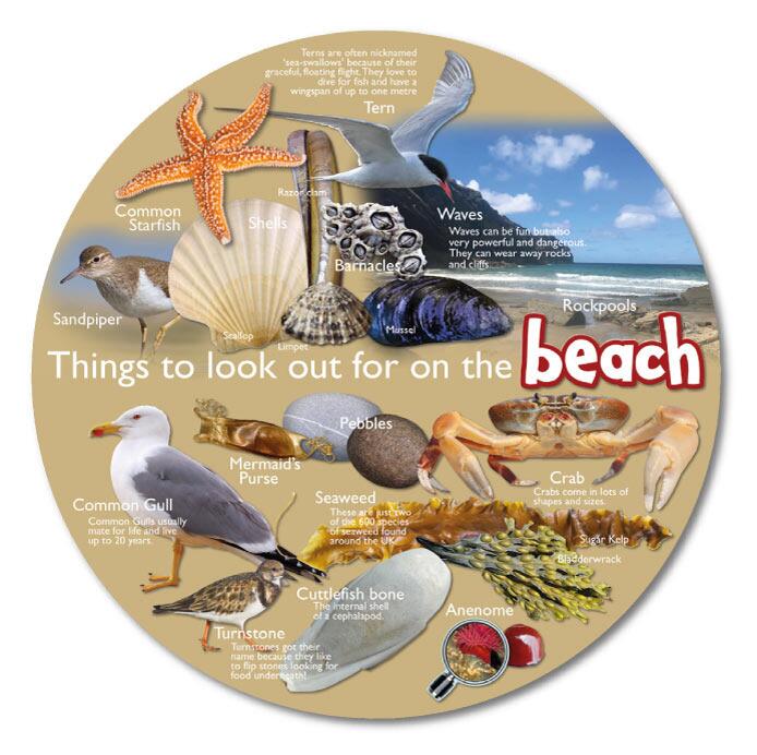 Things to Look Out For