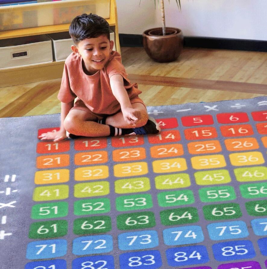 100 Square Counting Grid Carpet