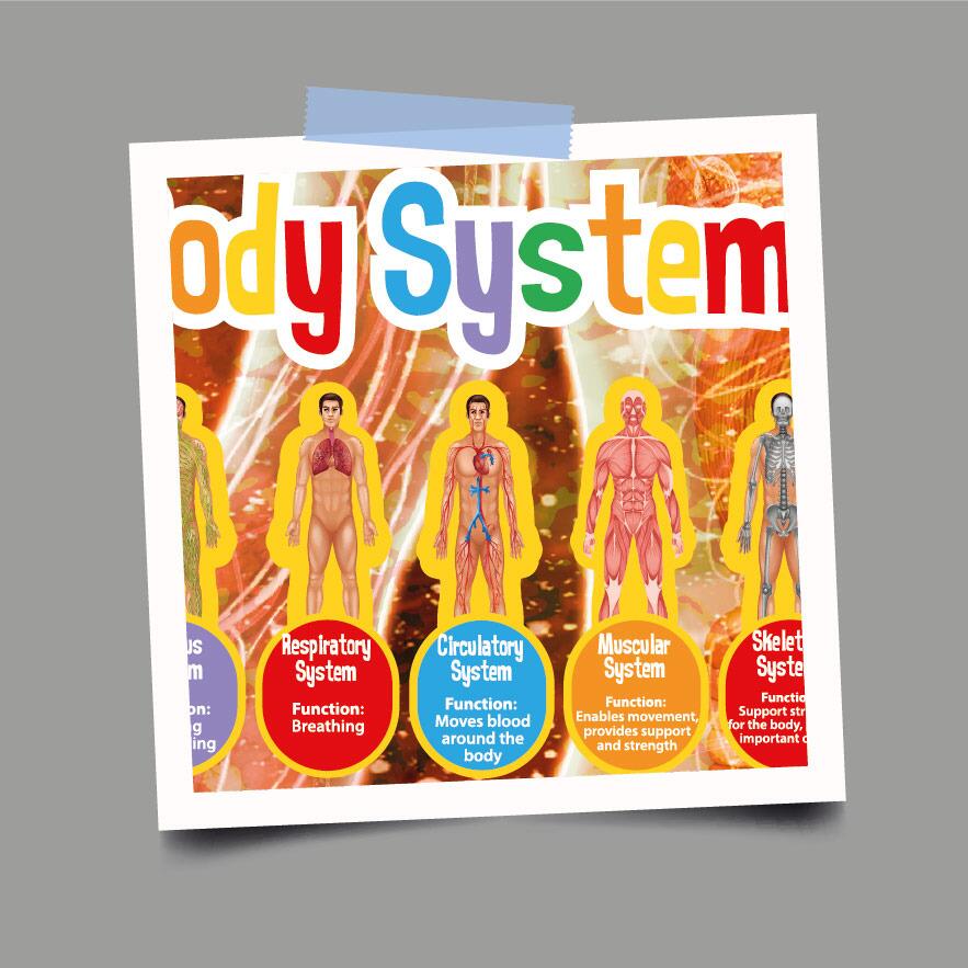 Body Systems Uk