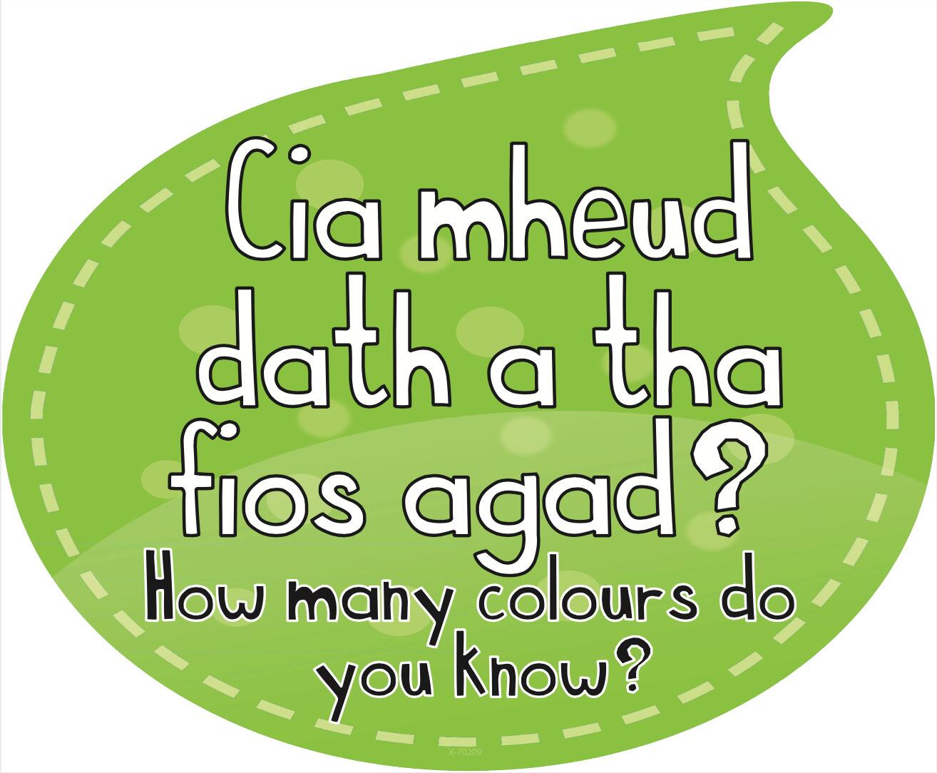Dual Language - Questions as Scottish Gaelic 9 Yard Signs - Set 3