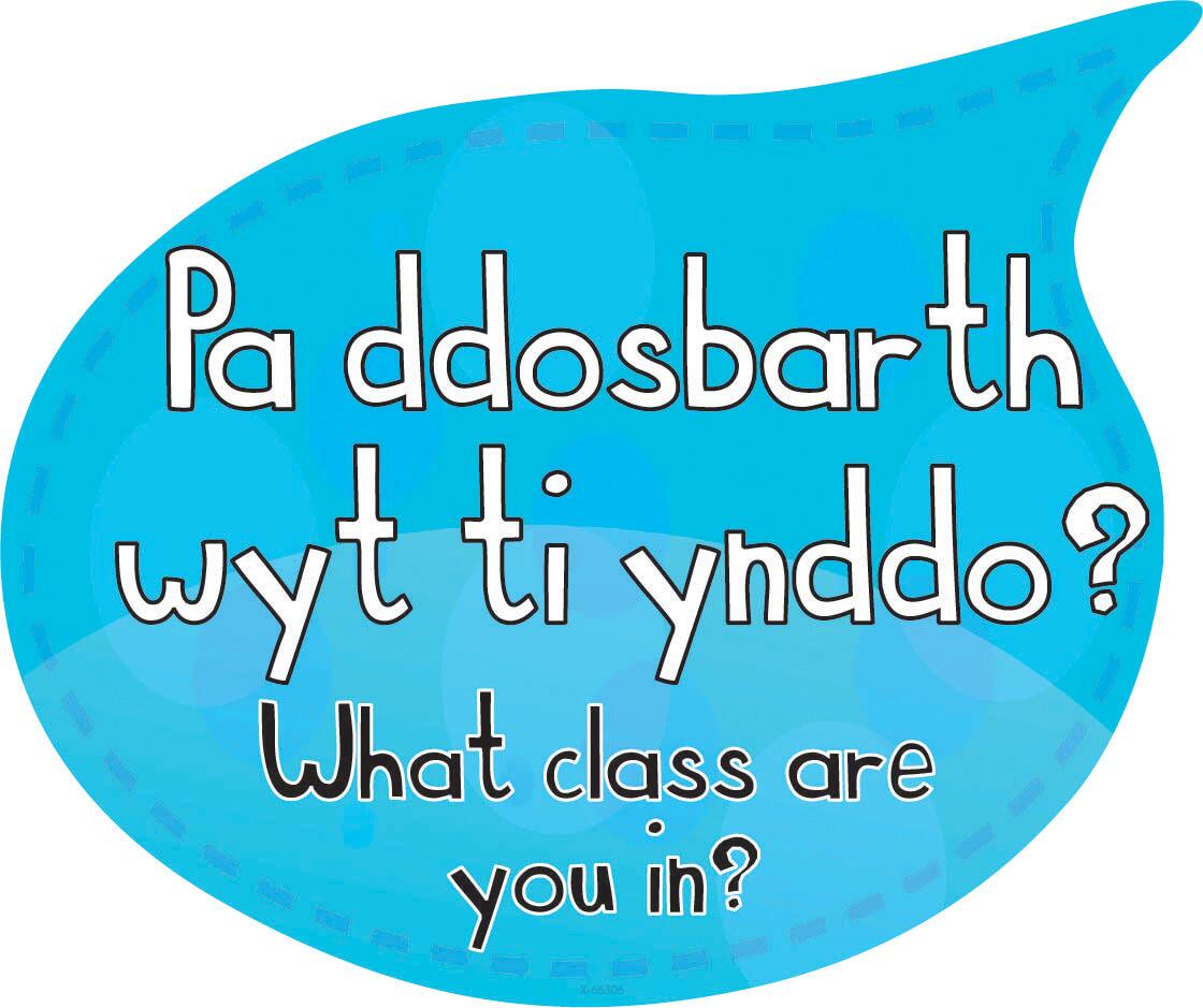 Dual Language - Questions as Welsh 9 Yard Signs - Set 2