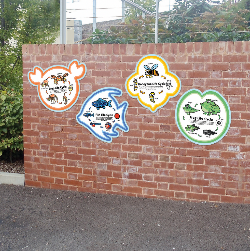 Lifecycle Signs
