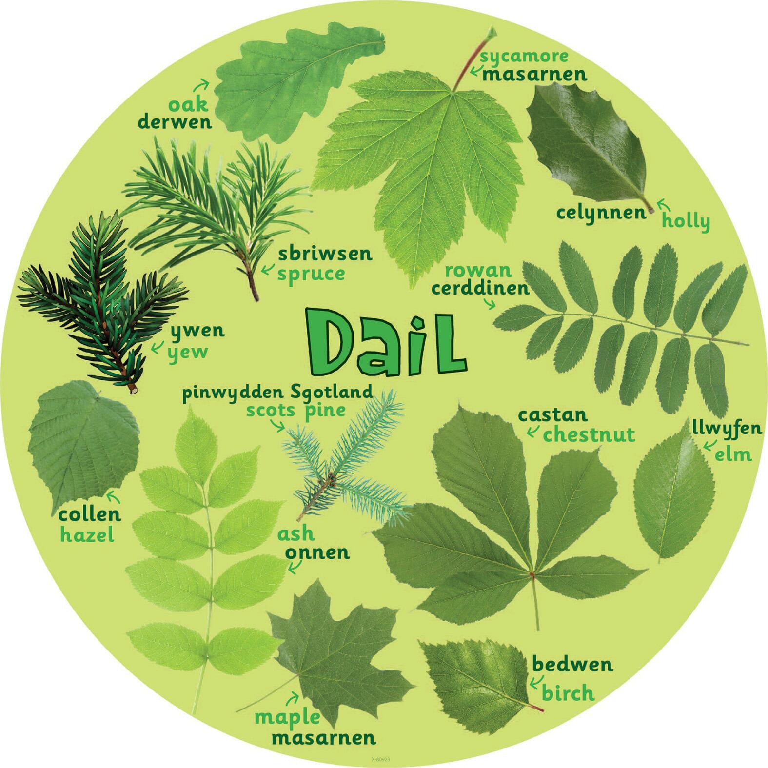 Dual Language Circular Nature Sign - Set of 5 (Welsh & English)