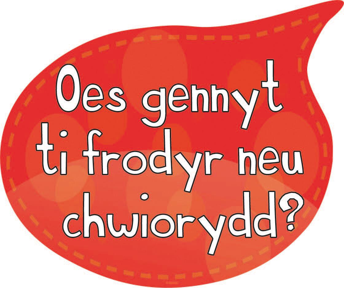 Questions as Welsh 9 Yard Signs - Set 1