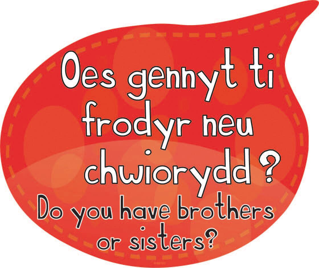 Dual Language - Questions as Welsh 9 Yard Signs - Set 1
