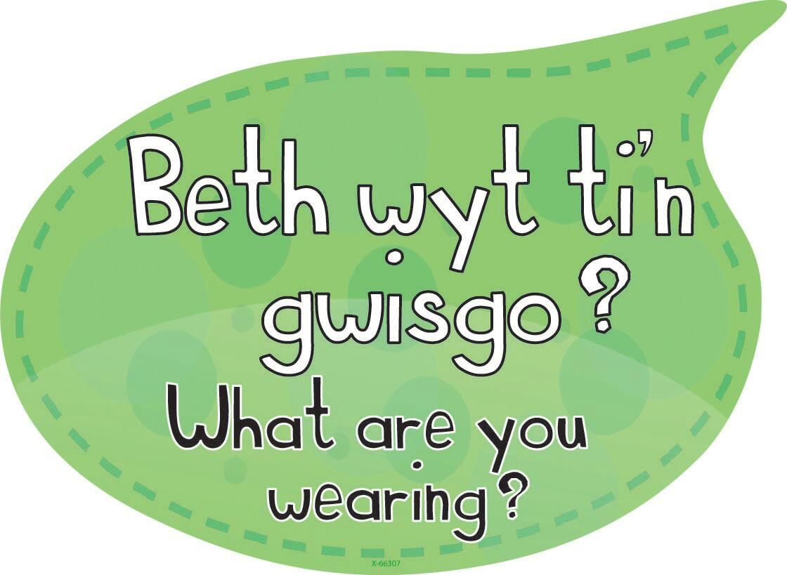 Dual Language - Questions as Welsh 9 Yard Signs - Set 2