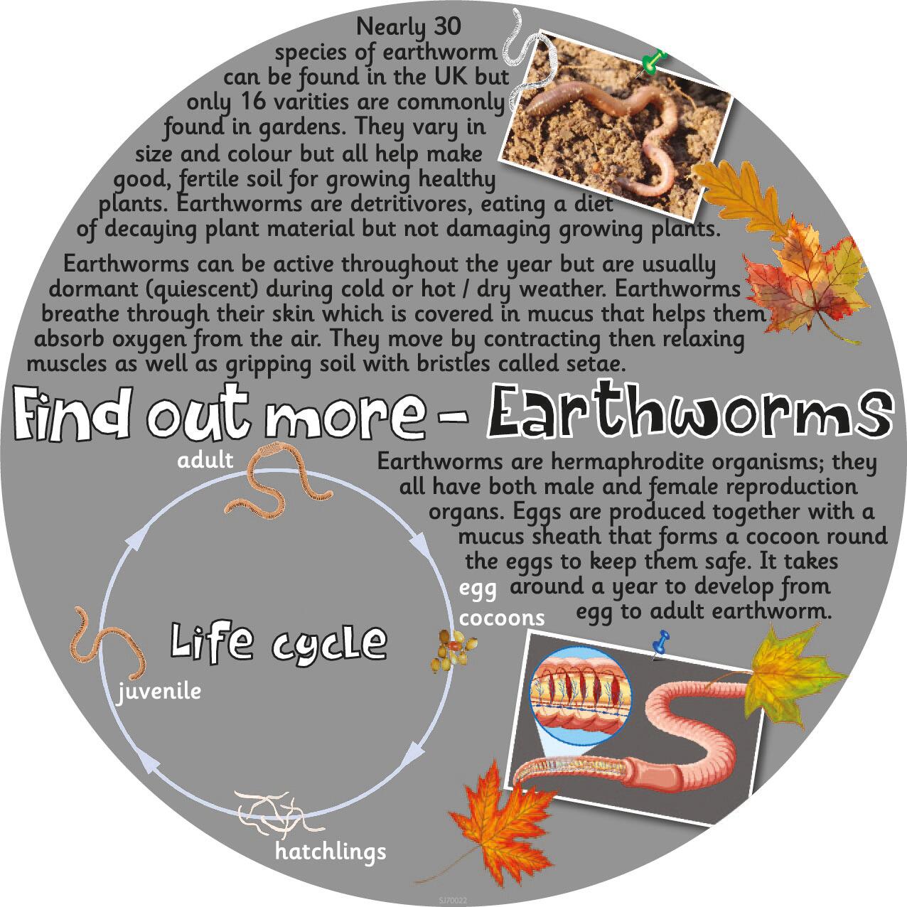 Find Out More - Circular Nature Signs