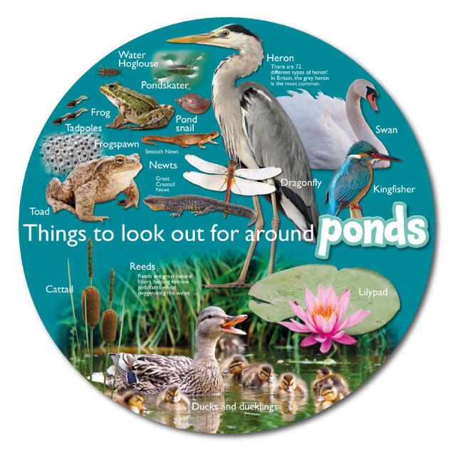 Things to Look Out For