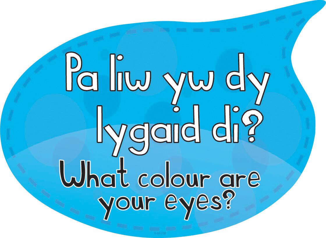 Dual Language - Questions as Welsh 9 Yard Signs - Set 1