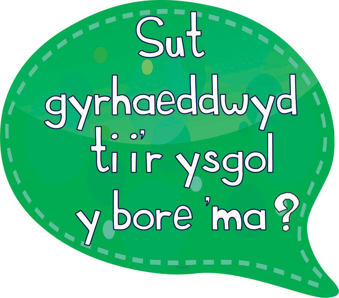Questions as Welsh 9 Yard Signs - Set 2