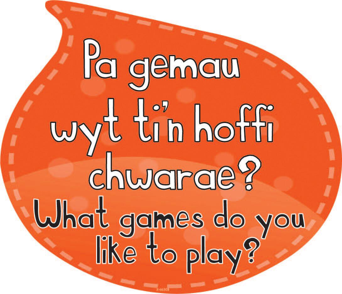 Dual Language - Questions as Welsh 9 Yard Signs - Set 2