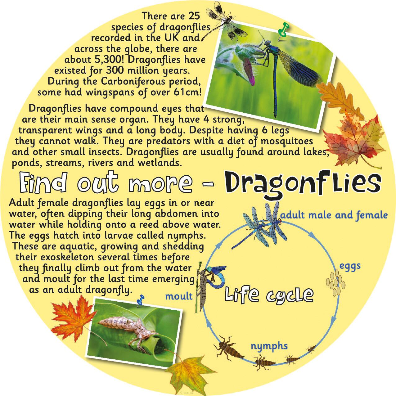 Find Out More - Circular Nature Signs