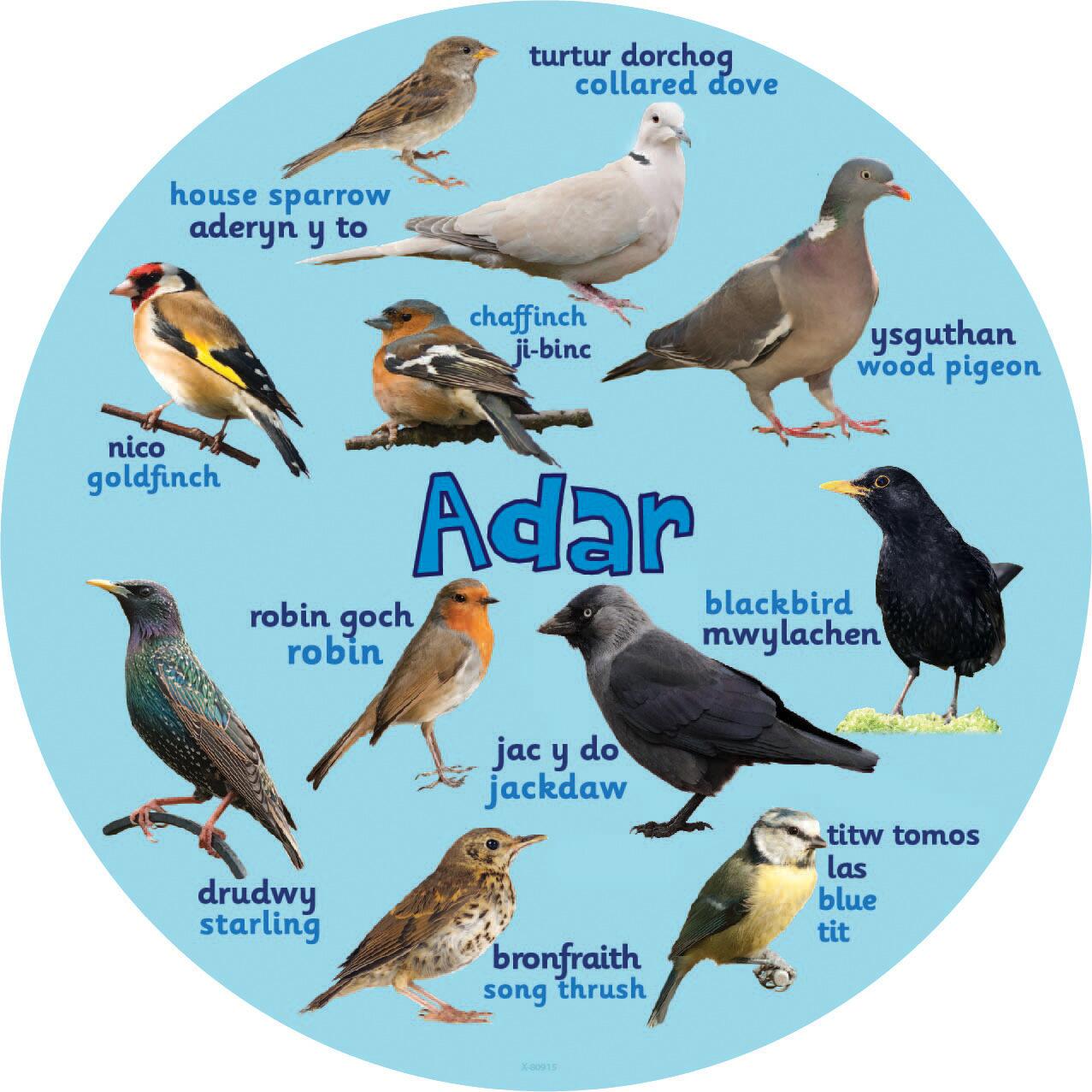 Dual Language Circular Nature Sign - Set of 5 (Welsh & English)