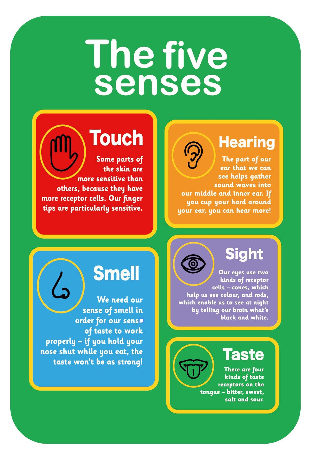 The Human Body Panels