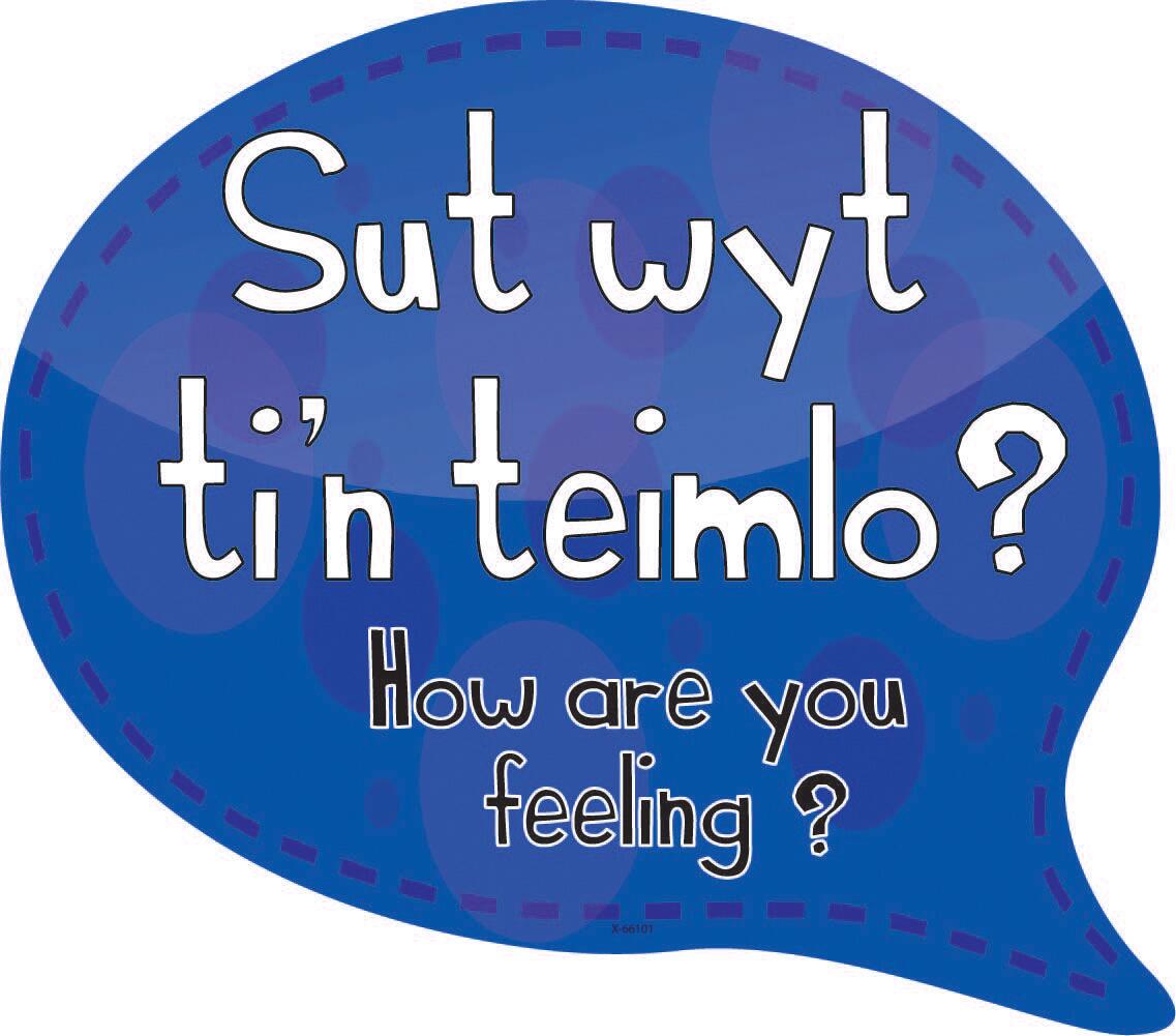 Dual Language - Questions as Welsh 9 Yard Signs - Set 1