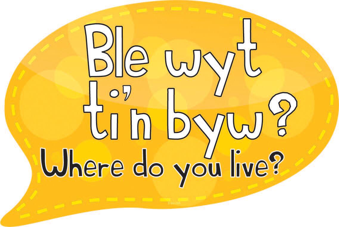 Dual Language - Questions as Welsh 9 Yard Signs - Set 1