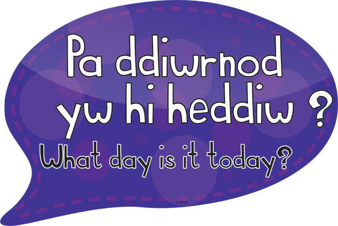 Dual Language - Questions as Welsh 9 Yard Signs - Set 2