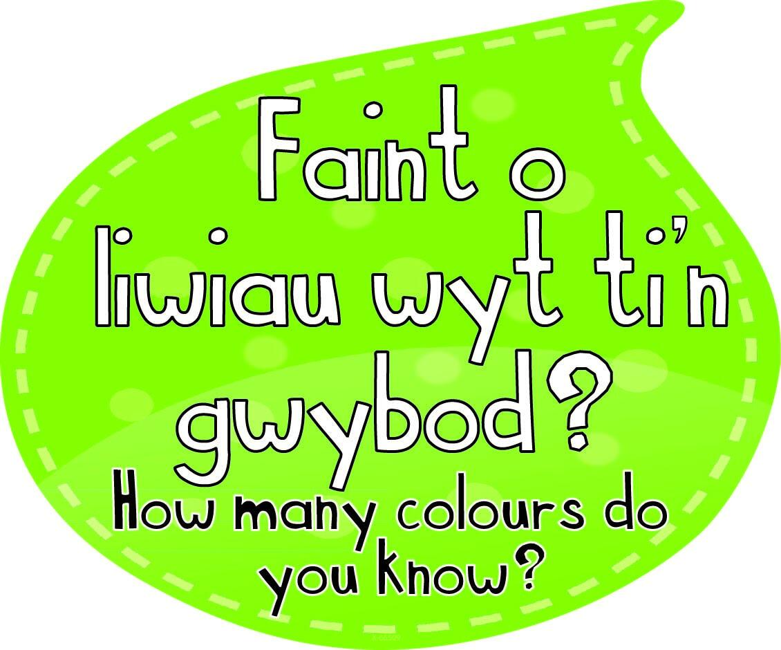 Dual Language - Questions as Welsh 9 Yard Signs - Set 3
