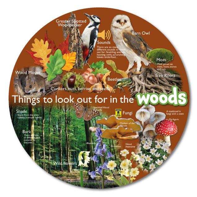 Things to Look Out For