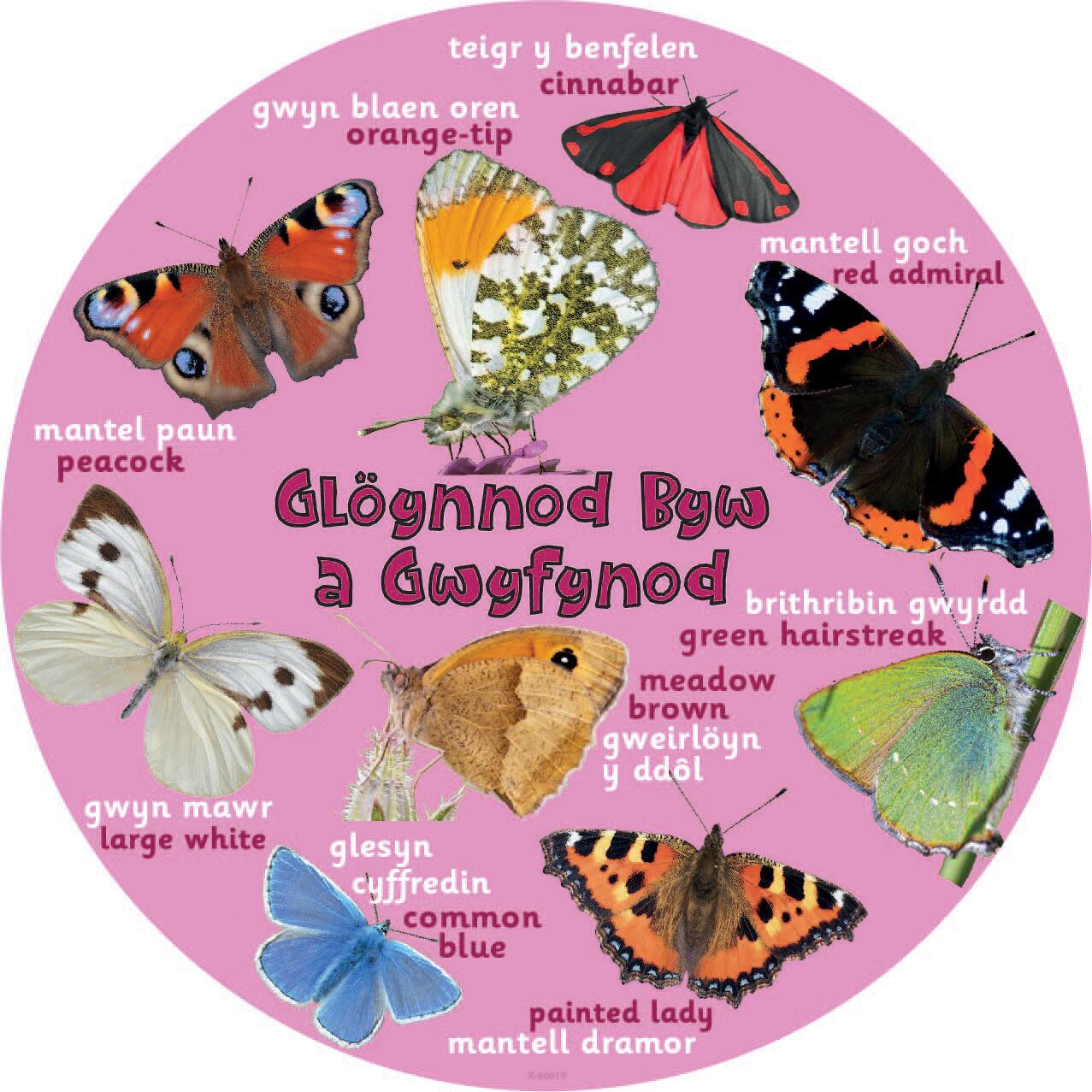 Dual Language Circular Nature Sign - Set of 5 (Welsh & English)