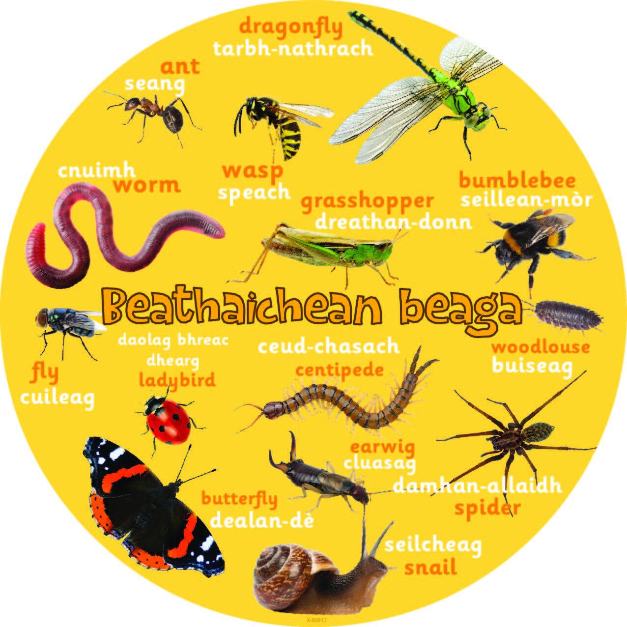 Dual Language Circular Nature Sign - Set of 5 (Scottish Gaelic & English)