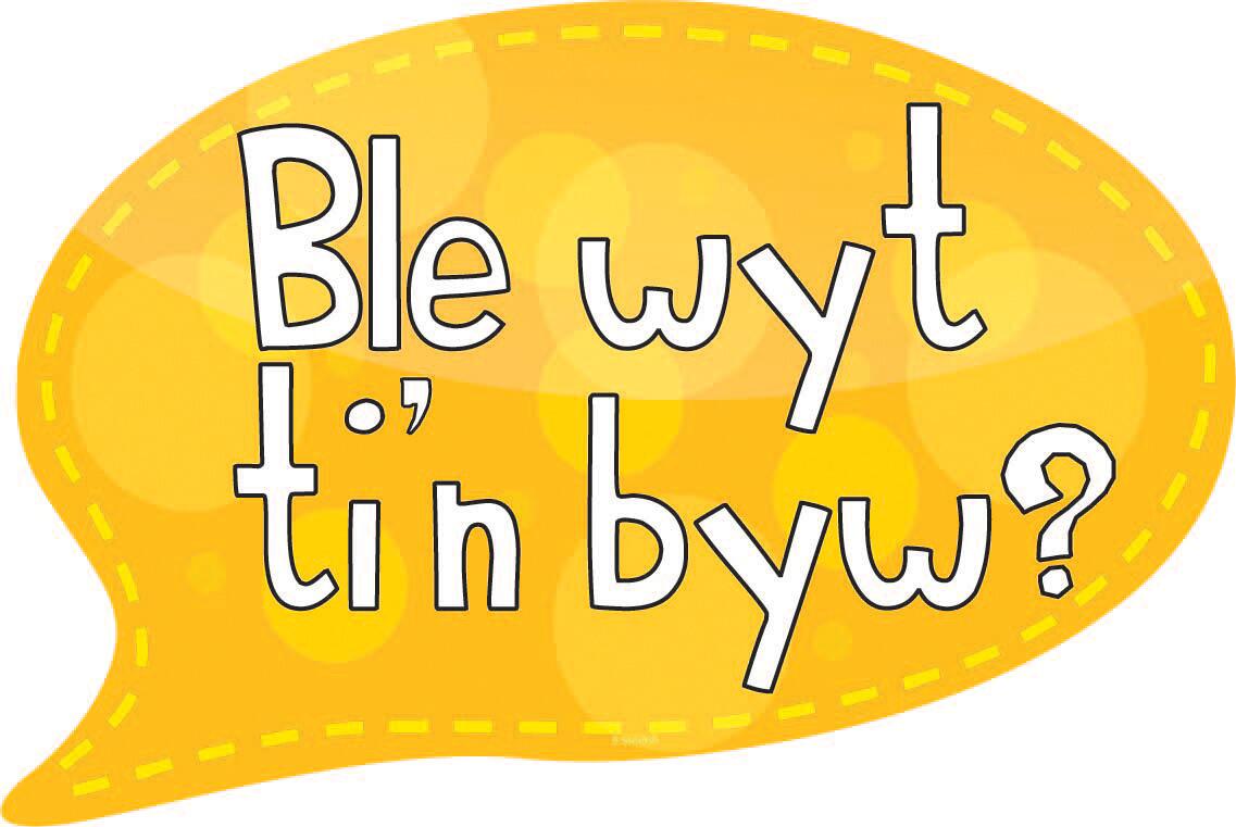 Questions as Welsh 9 Yard Signs - Set 1