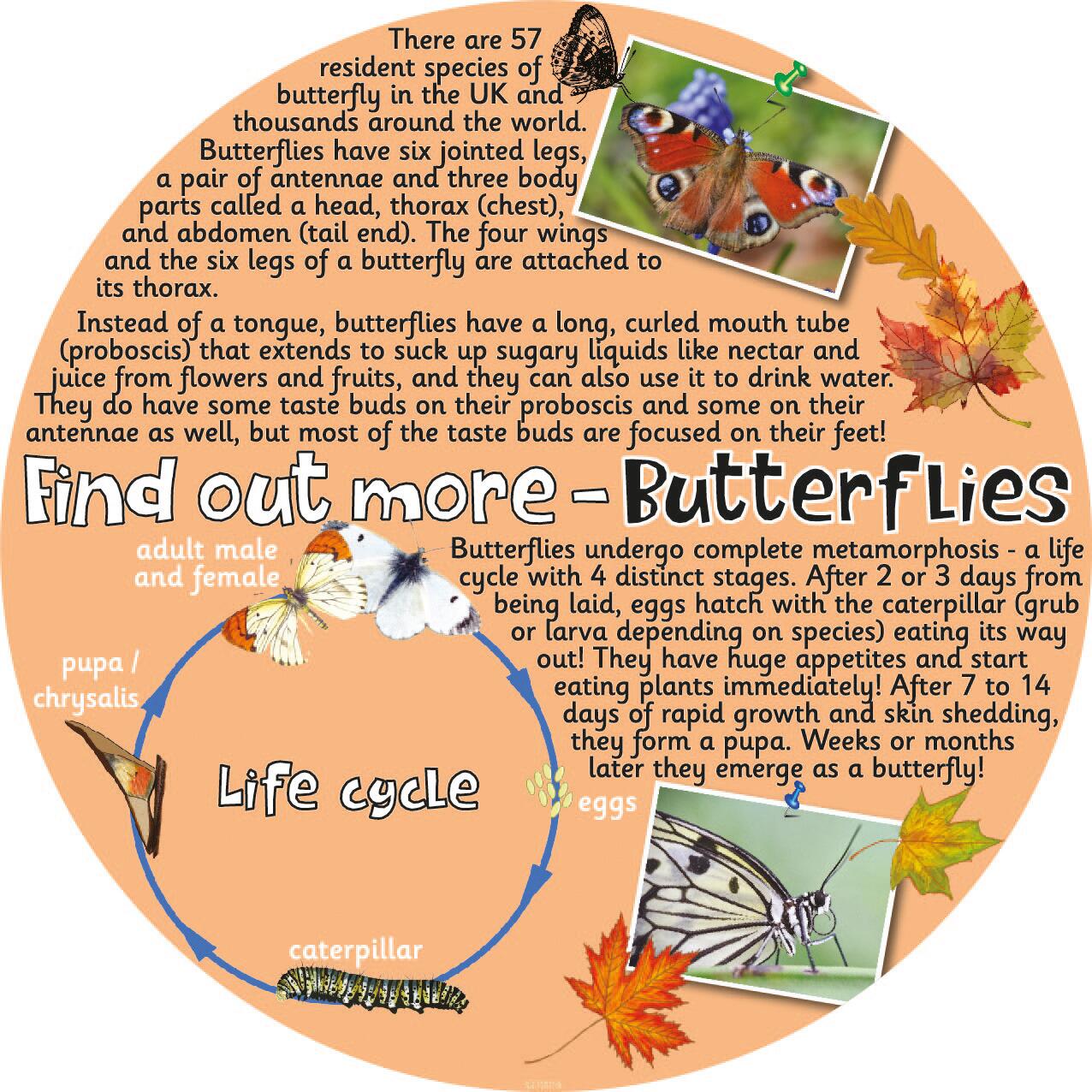 Find Out More - Circular Nature Signs