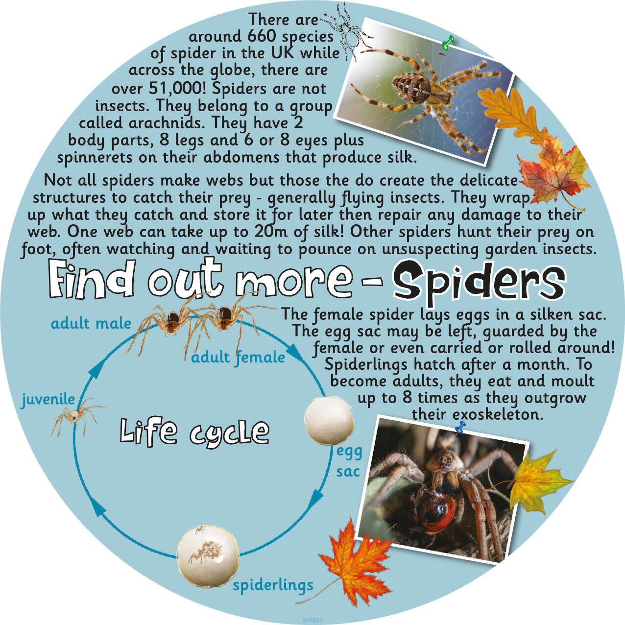 Find Out More - Circular Nature Signs