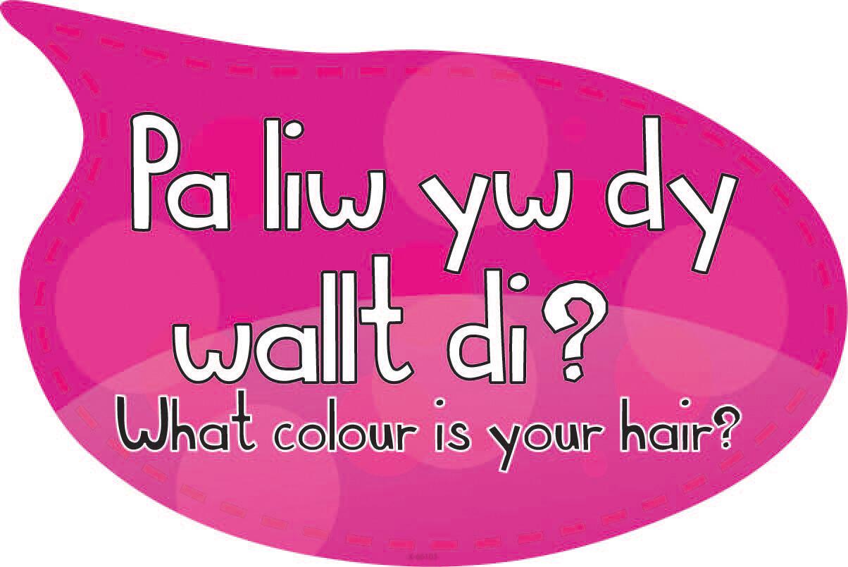 Dual Language - Questions as Welsh 9 Yard Signs - Set 1