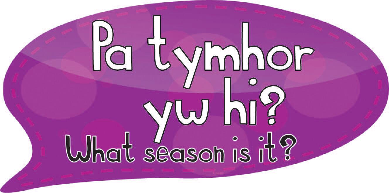 Dual Language - Questions as Welsh 9 Yard Signs - Set 2