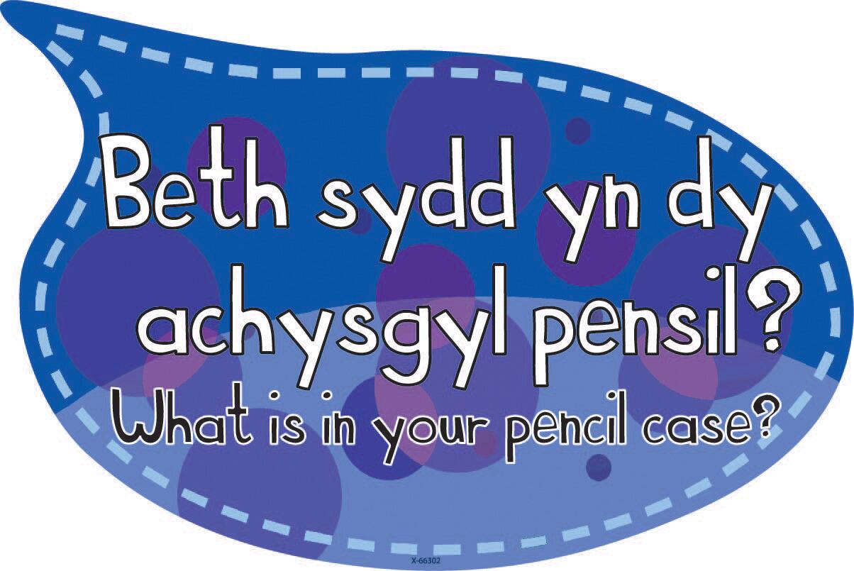 Dual Language - Questions as Welsh 9 Yard Signs - Set 2