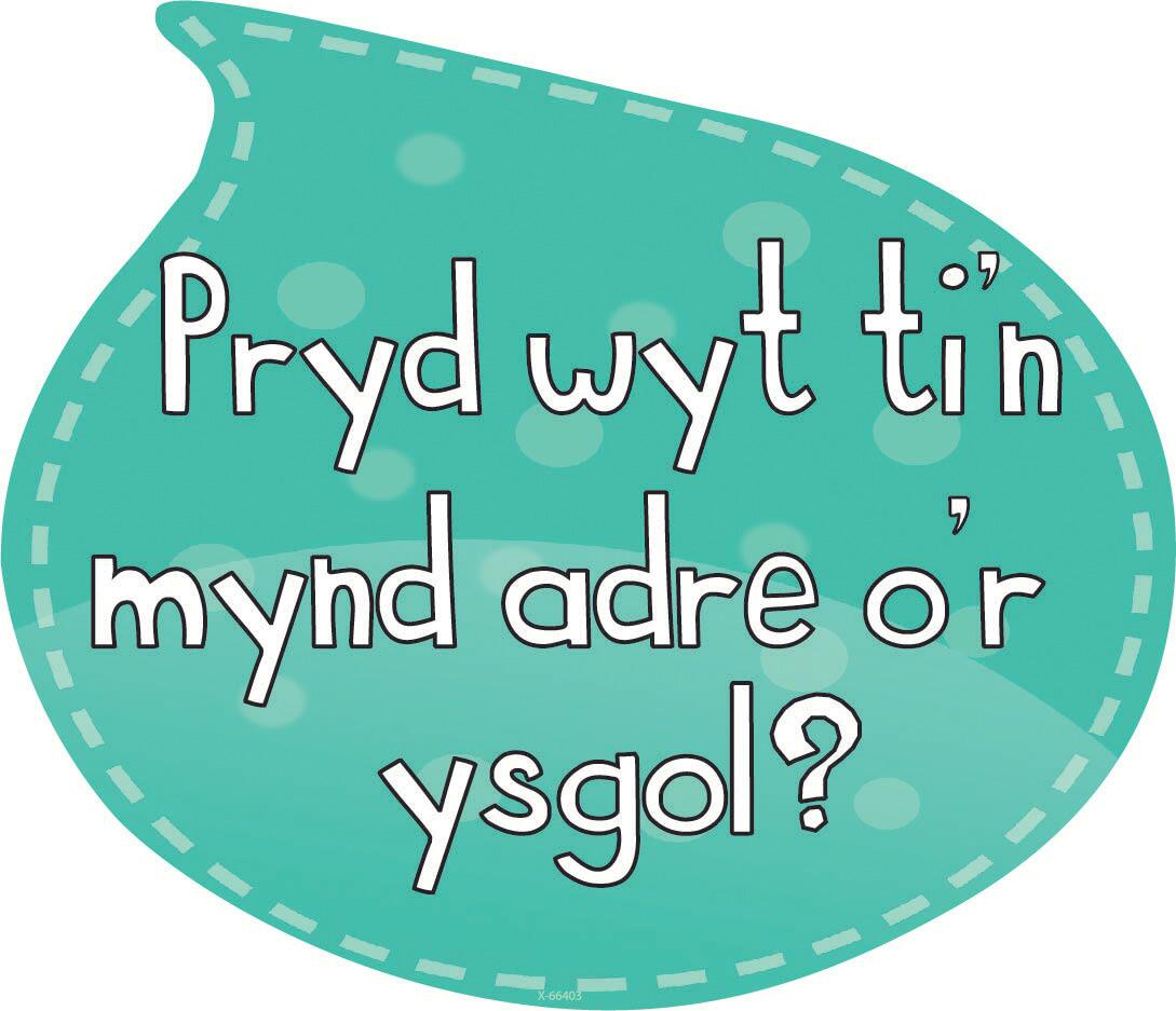 Questions as Welsh 9 Yard Signs - Set 3