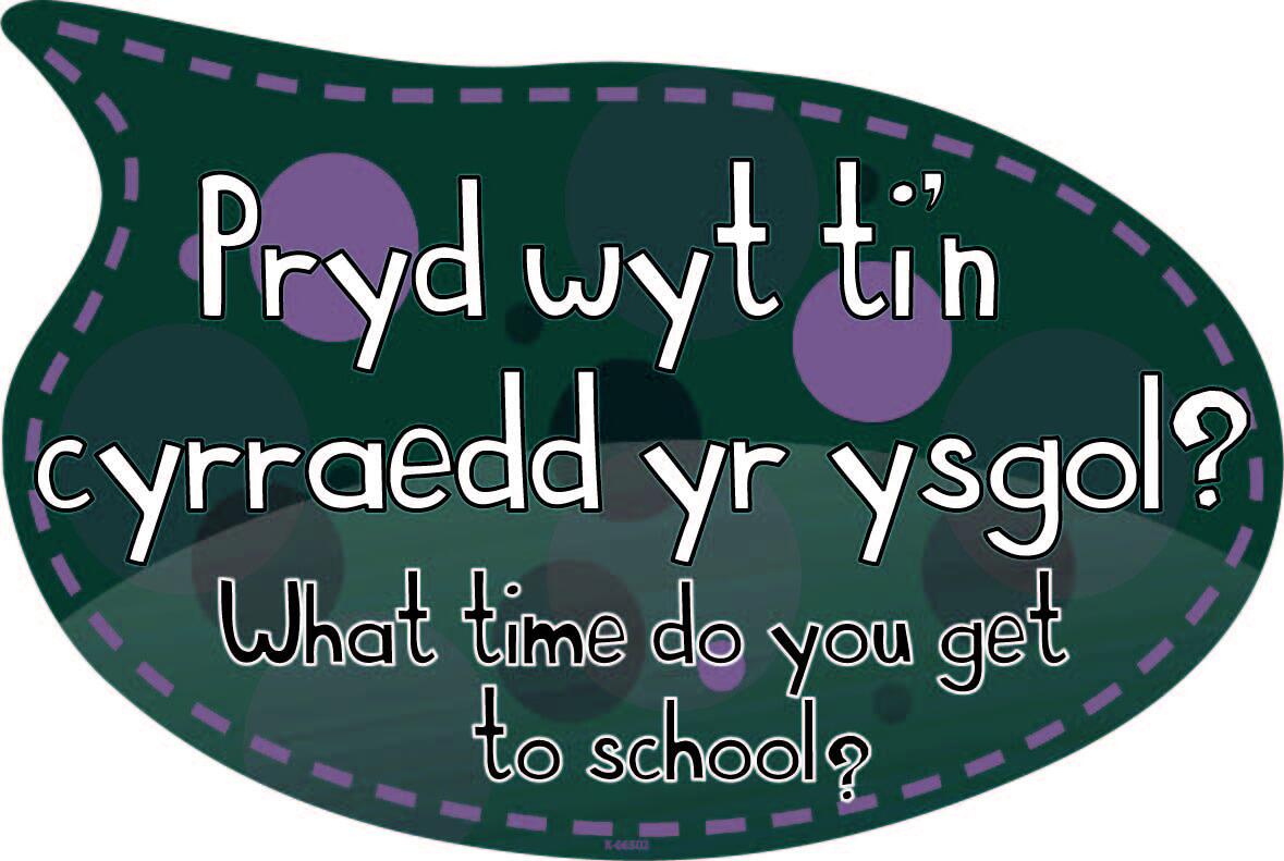 Dual Language - Questions as Welsh 9 Yard Signs - Set 3