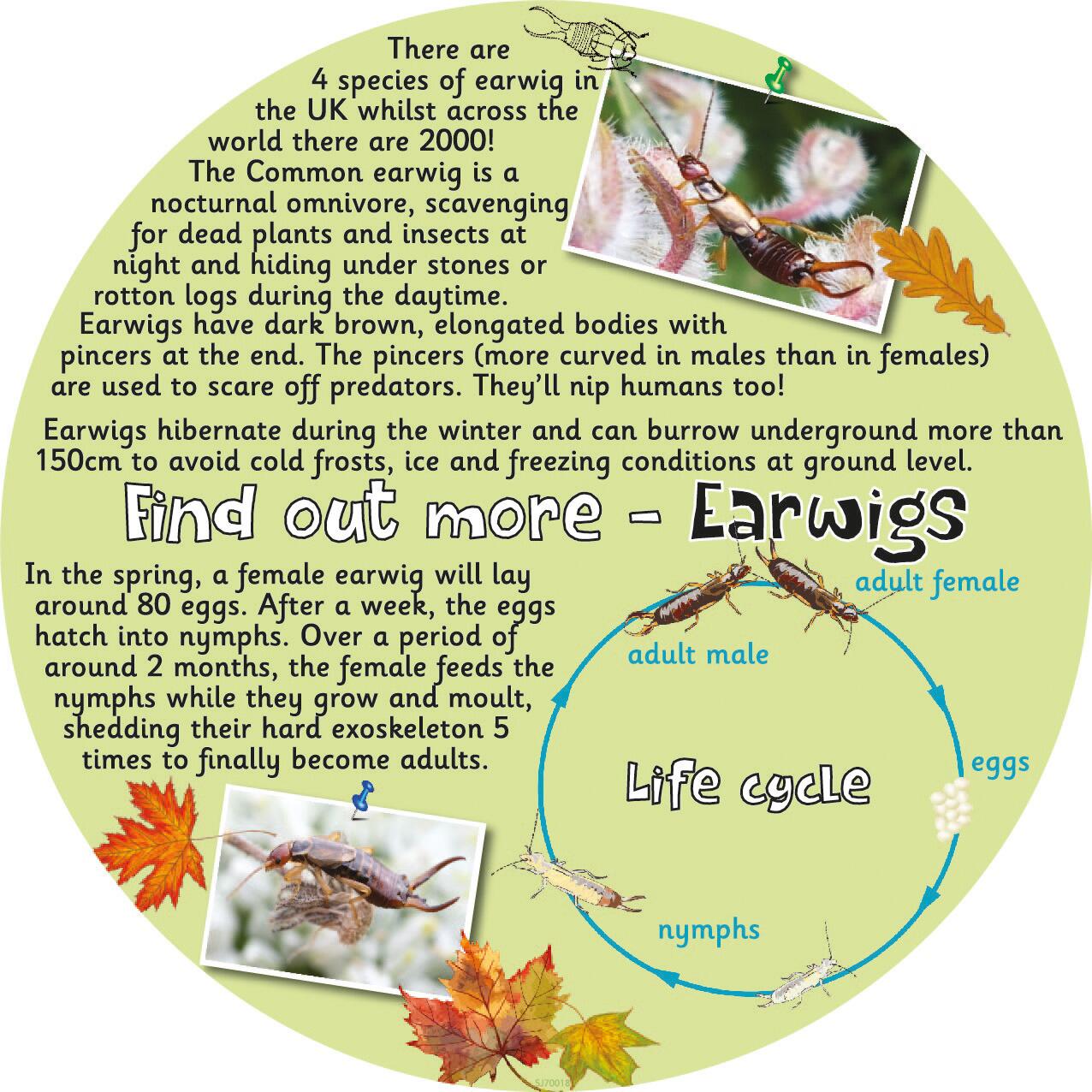 Find Out More - Circular Nature Signs