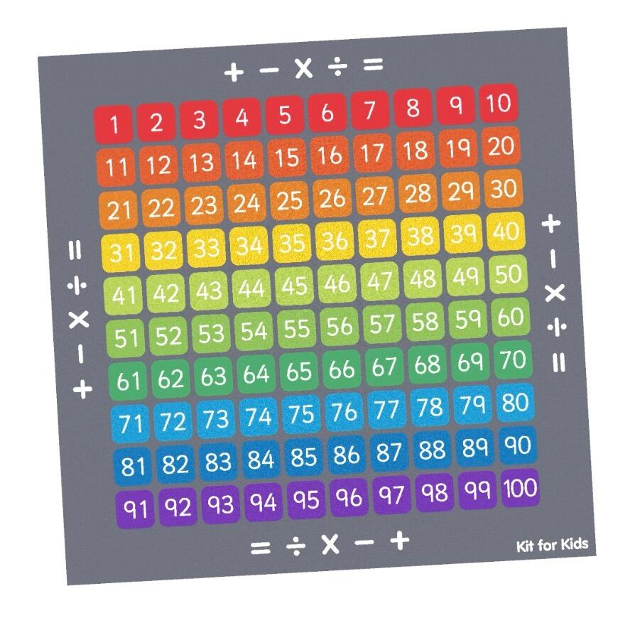 100 Square Counting Grid Carpet