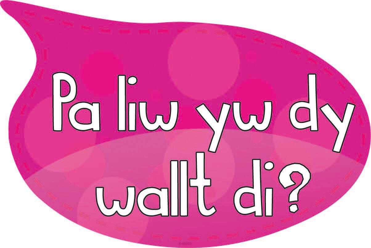 Questions as Welsh 9 Yard Signs - Set 1