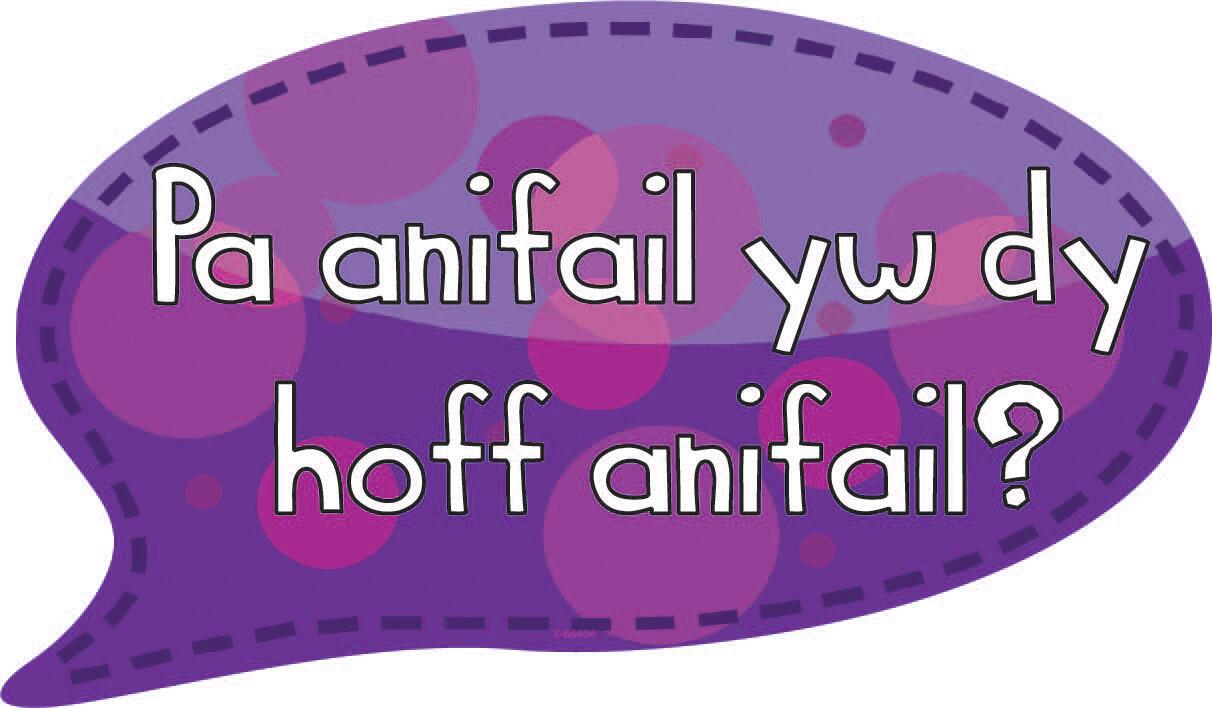 Questions as Welsh 9 Yard Signs - Set 3