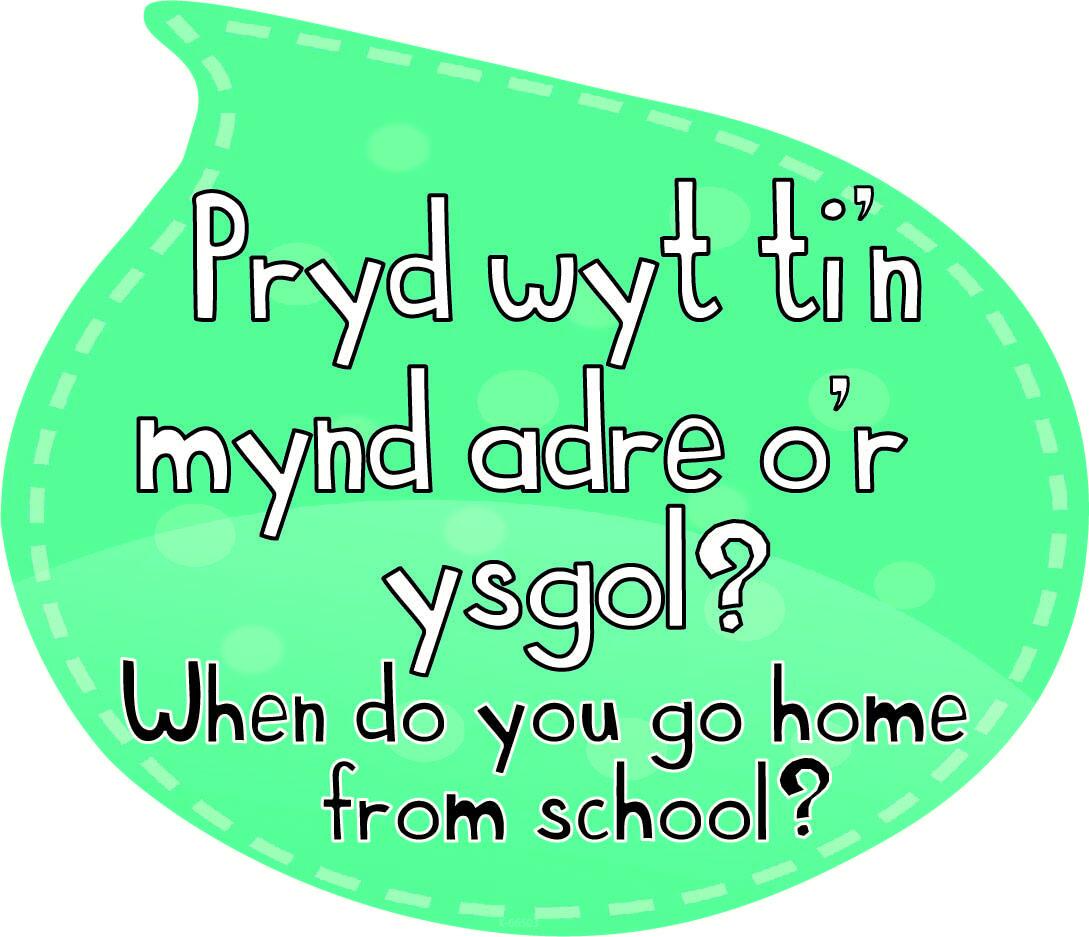 Dual Language - Questions as Welsh 9 Yard Signs - Set 3