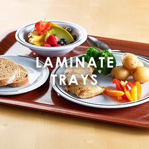 Buy Laminate Trays for Quick Delivery from Go for Green - Eco-Friendly ...