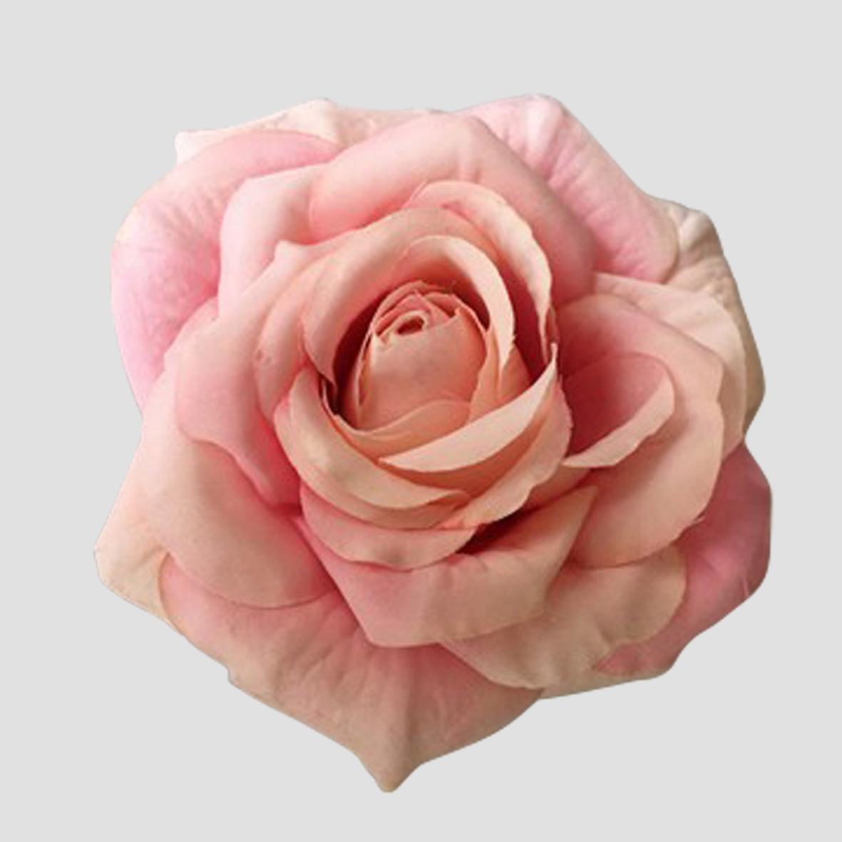 Pink Rose Head SAMPLE