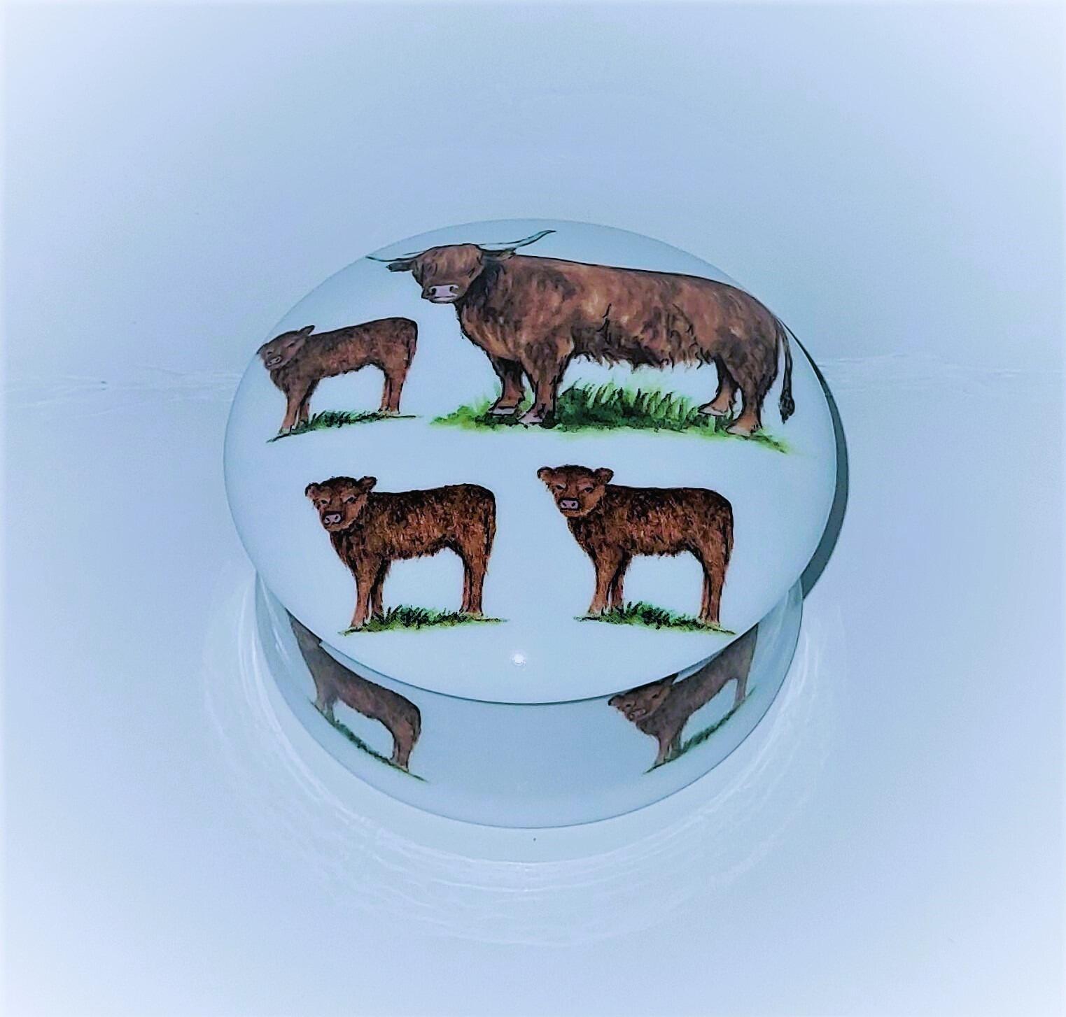 Highland cow 3" box