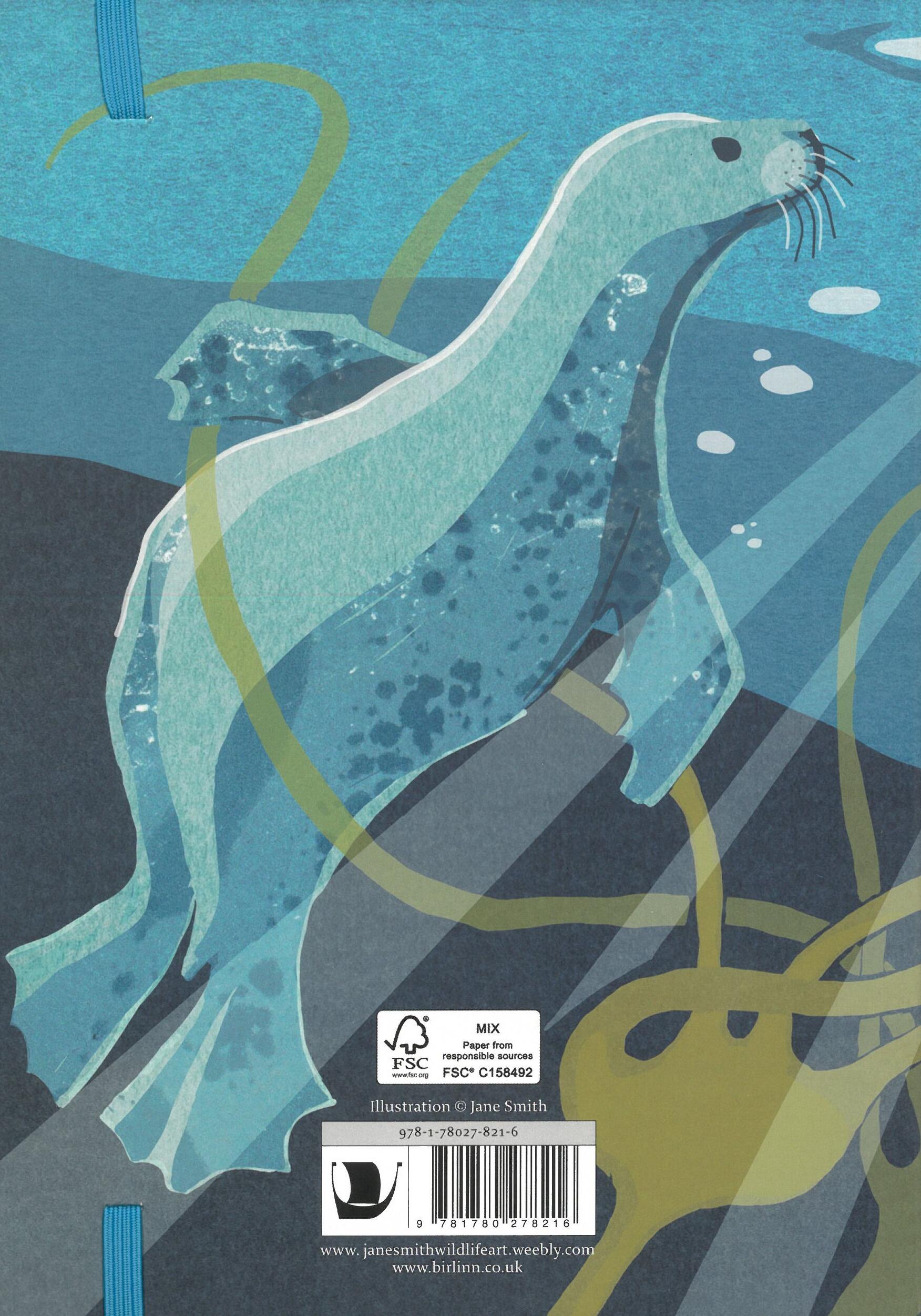 Nature Notebook - Seal