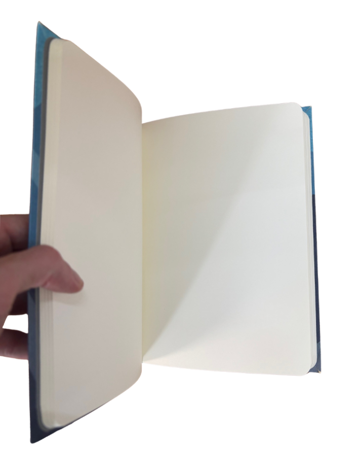 Nature Notebook - Seal