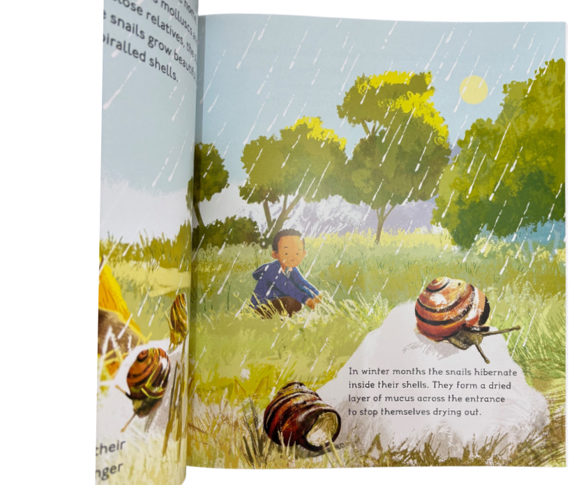 Amazing Animal Homes by Chris Packham