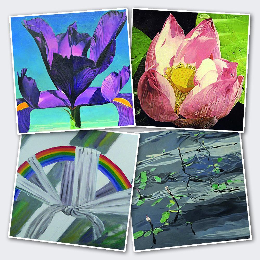 Home [shop.sane.org.uk]