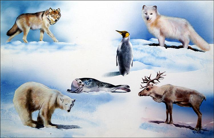Rudolf Sablic at the Illustration Art Gallery