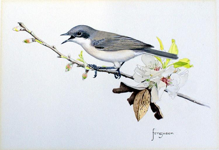 Walter Ferguson at the Illustration Art Gallery