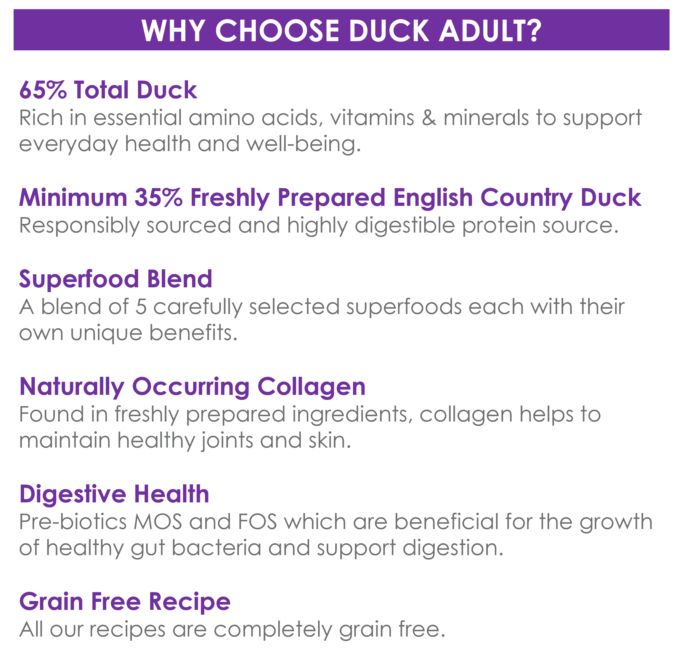 English Country Duck Adult